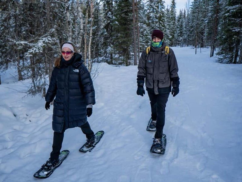 Rovaniemi: Snowshoe Adventure at Vikaköngäs & Barbeque - Key Points