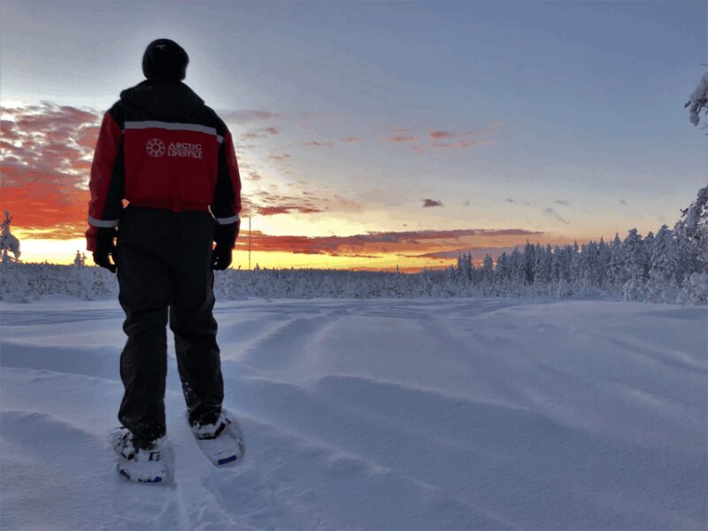 Rovaniemi: Snowshoe Hiking Adventure - Key Points