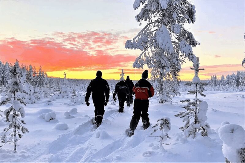 Rovaniemi: Snowshoe Hiking Adventure - Authentic Experiences and Traveler Feedback