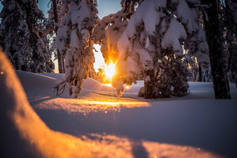 Rovaniemi: Snowshoe Wilderness Adventure - Rovaniemi: Snowshoe Wilderness Adventure — An In-Depth Review
