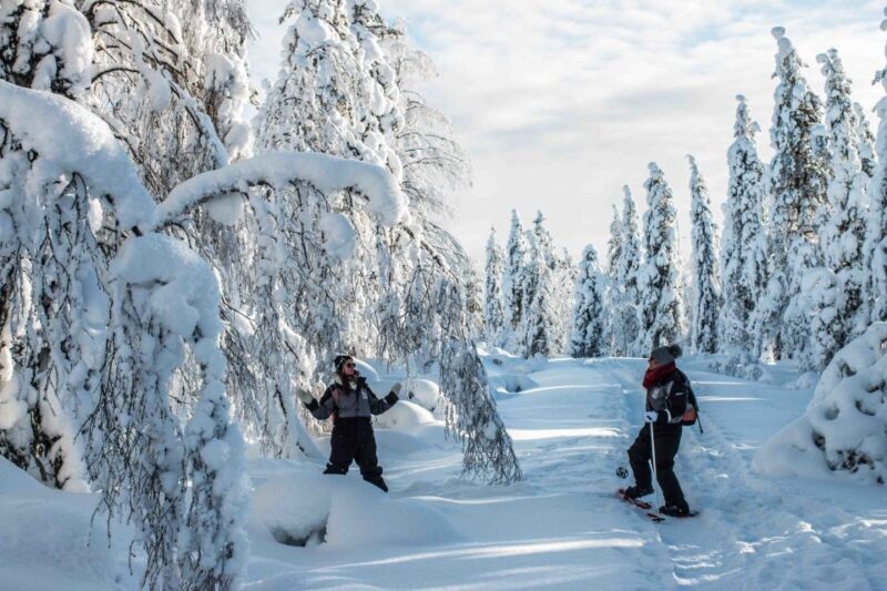 Rovaniemi: Snowshoe Wilderness Adventure - Value and Practical Considerations