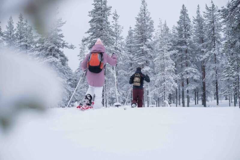 Rovaniemi: Snowshoe Wilderness Adventure - FAQs