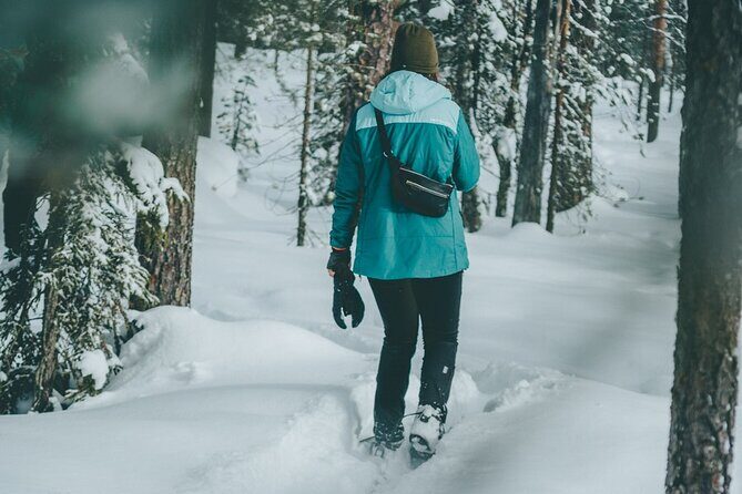 Rovaniemi: Snowshoeing in a magical snowy forest - Rovaniemi: Snowshoeing in a Magical Snowy Forest — A Practical and Authentic Adventure