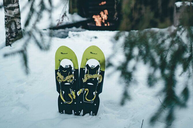 Rovaniemi: Snowshoeing in a magical snowy forest - An Authentic Snowy Finnish Forest Experience