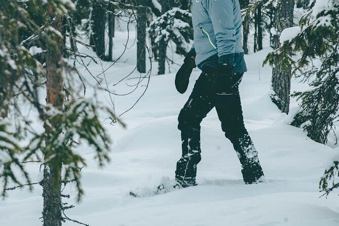 Rovaniemi: Snowshoeing in a magical snowy forest - Authenticity and Small-Group Appeal