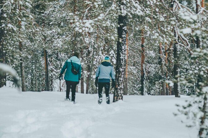 Rovaniemi: Snowshoeing in a magical snowy forest - Final Thoughts