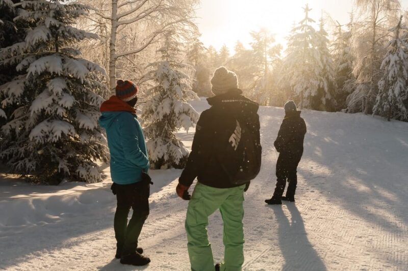 Rovaniemi: Snowshoeing in the Arctic Wilderness - Key Points