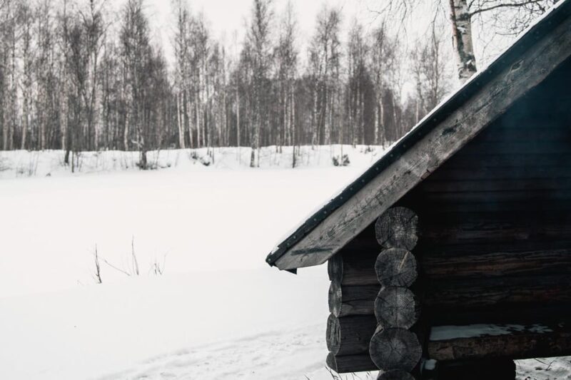 Rovaniemi: Snowshoeing in the Arctic Wilderness - An Introduction to the Snowshoeing Adventure in Rovaniemi