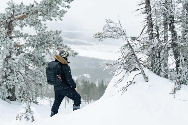 Rovaniemi: Snowshoeing in the Arctic Wilderness - The Itinerary: What You Can Expect from Start to Finish