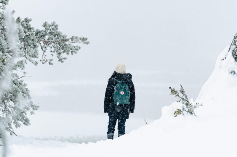 Rovaniemi: Snowshoeing in the Arctic Wilderness - Why Travelers Love This Experience