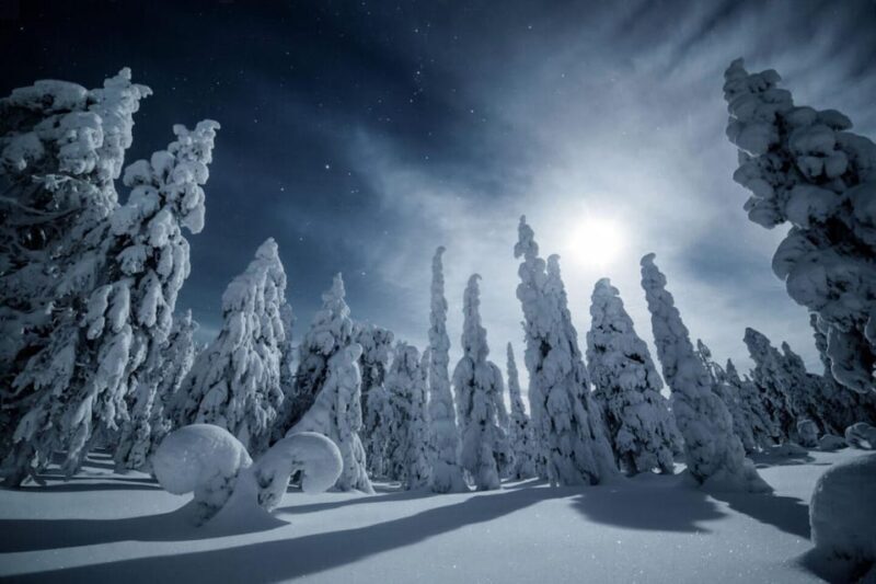 Rovaniemi: Snowy Forest Night Hike with Northern Lights - Why We Think This Tour Is a Great Choice