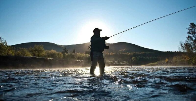 Rovaniemi: Summer Fishing Tour in Arctic Nature & BBQ - Key Points