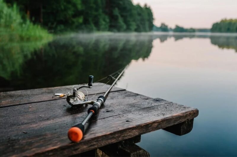 Rovaniemi: Summer Fishing Tour in Arctic Nature & BBQ - Exploring the Summer Fishing Experience in Rovaniemi
