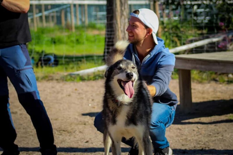 Rovaniemi: Summer Husky Kennel Tour and Cart Ride - FAQs