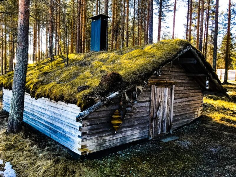 Rovaniemi: Summer Reindeer Farm Experience - Key Points