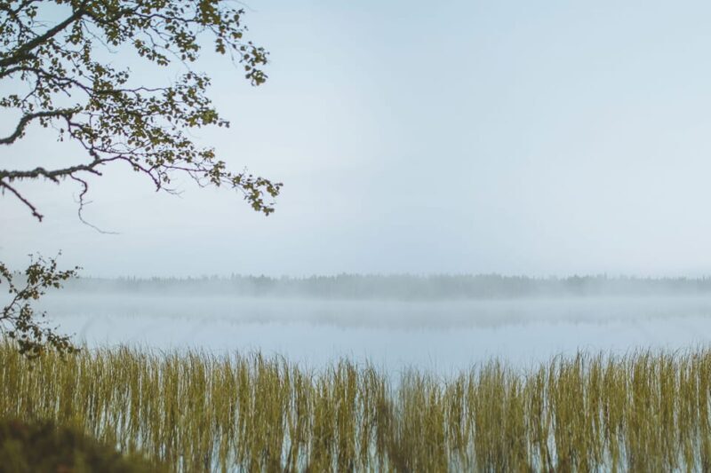 Rovaniemi : Trekking in the Heart of Nature - The Sum Up: Who is This Tour Best For?