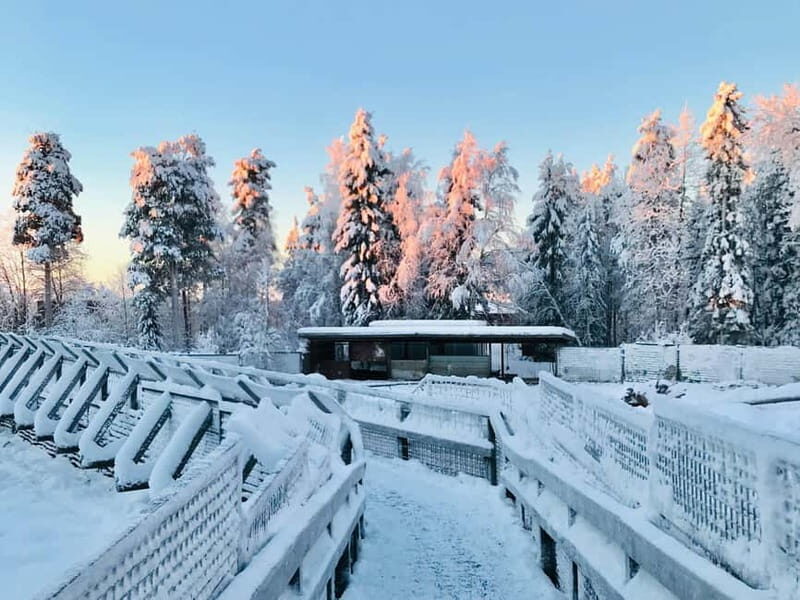 Rovaniemi: Trip to Ranua Zoo with Tickets - The Value of a Guided Tour