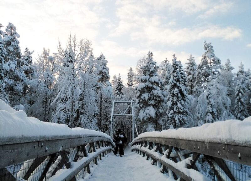 Rovaniemi: Vaattunki Hiking Arctic Circle Trail - Authenticity and Guides — The Heart of the Experience
