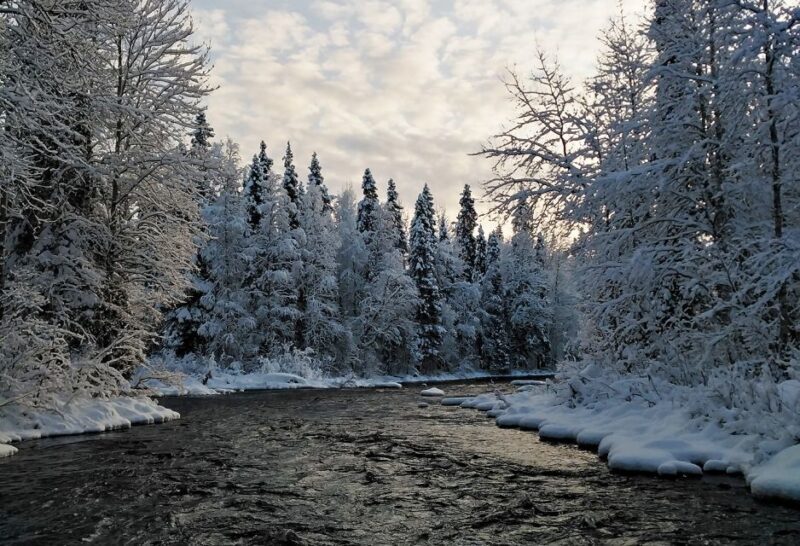 Rovaniemi: Vaattunki Hiking Arctic Circle Trail - The Value — Is It Worth It?