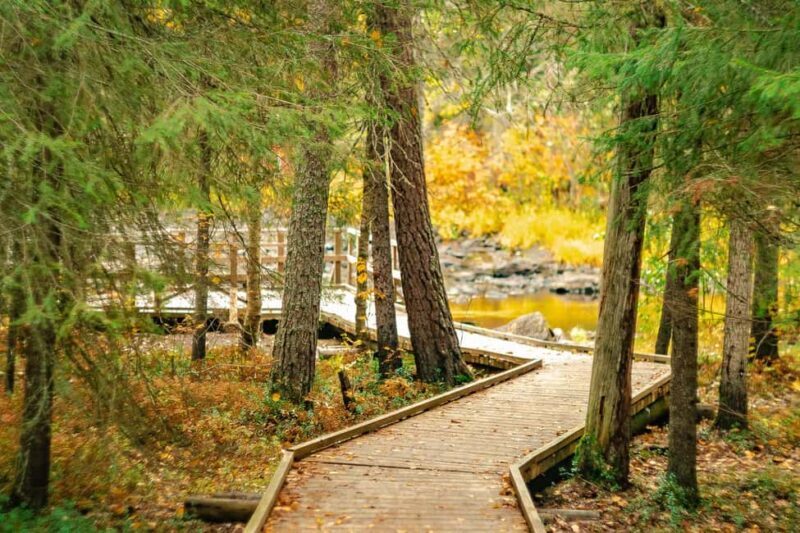 Rovaniemi: Vaattunkiköngäs Trail Arctic Circle Forest Hike - A Walk Through Lapland’s Quiet Beauty