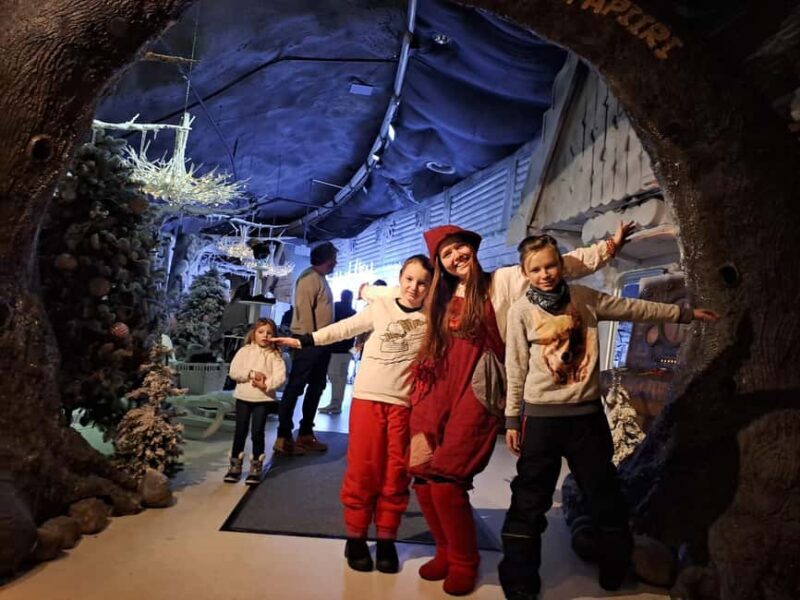 Rovaniemi: Visit Santa Park Visit with Hotel Transfer - Who Will Love This Tour?