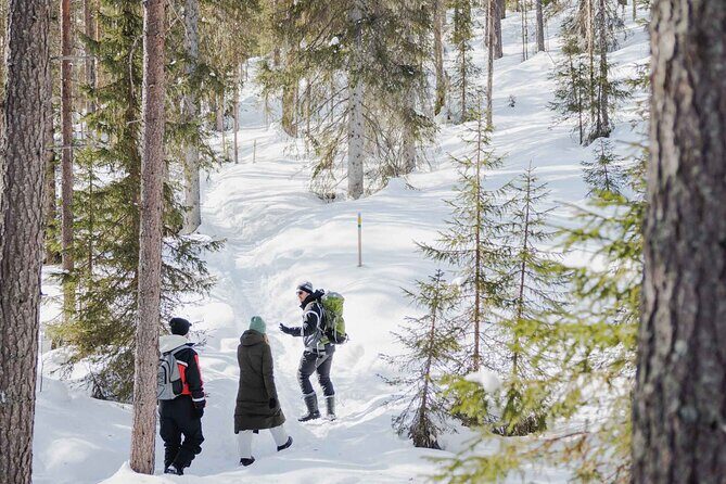 Rovaniemi - Visit to The Frozen Waterfalls of Korouoma - Key Points