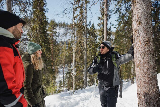 Rovaniemi - Visit to The Frozen Waterfalls of Korouoma - FAQs