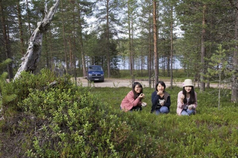 Rovaniemi: Wild Berry Picking and Juice Making - Who Will Love This Tour?
