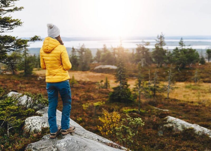 Rovaniemi: Wild Moose Safari - Key Points