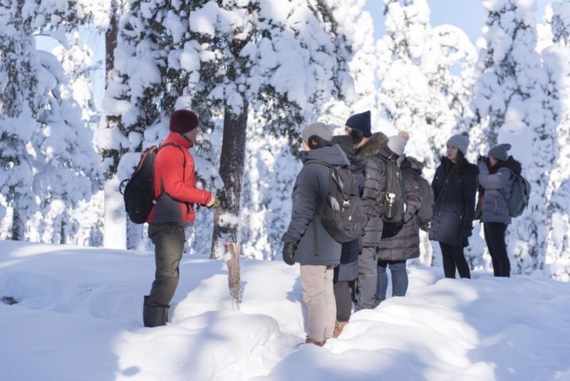Rovaniemi: Wilderness Tour - Wildlife Tracking and the Sense of Connection