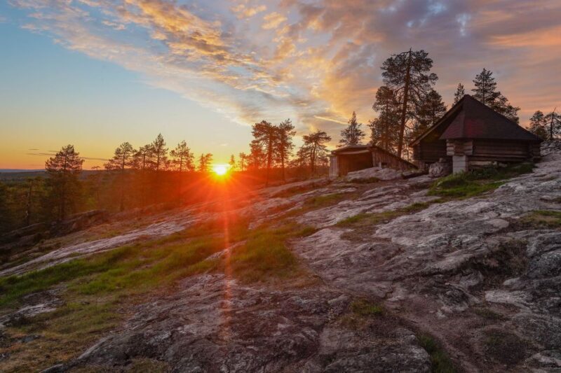 Rovaniemi: Wilderness Tour - Exploring Out-of-Fairytale Forests in Summer