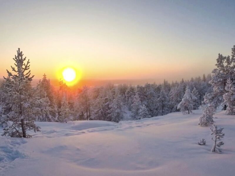 Rovaniemi: Wilderness Tour - Duration and Cost Effectiveness