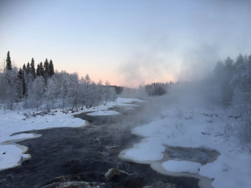 Rovaniemi: Wilderness Tour - What Do the Reviews Say?