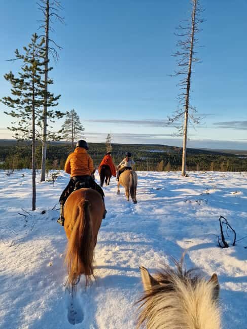 Rovaniemi: Winter Horseback Ride on Snowy Hills and Forests - An Authentic Winter Experience in Lapland