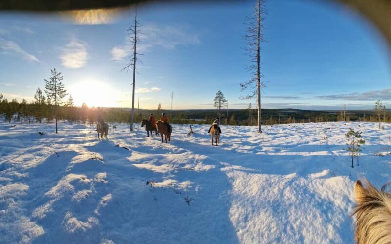 Rovaniemi: Winter Horseback Ride on Snowy Hills and Forests - FAQ