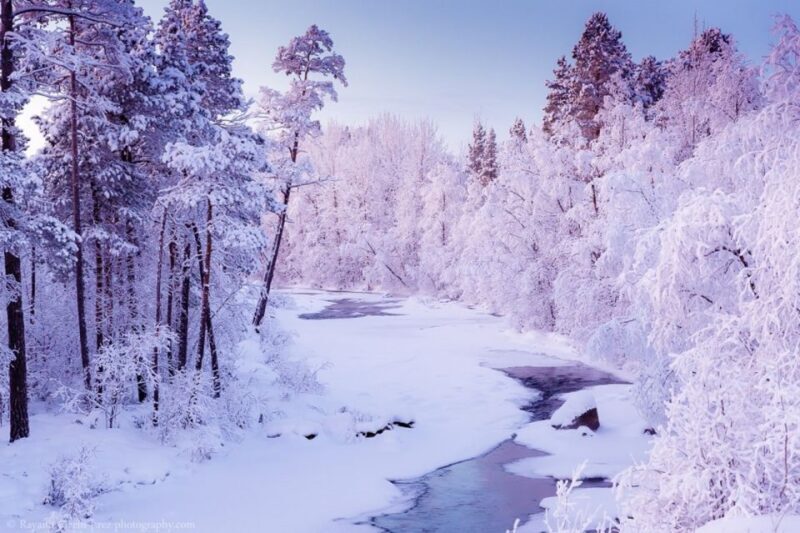 Rovaniemi: Winter Snowshoeing, Reindeer & Husky Sleigh Ride - Exploring the Tour: What to Expect on Your Arctic Day