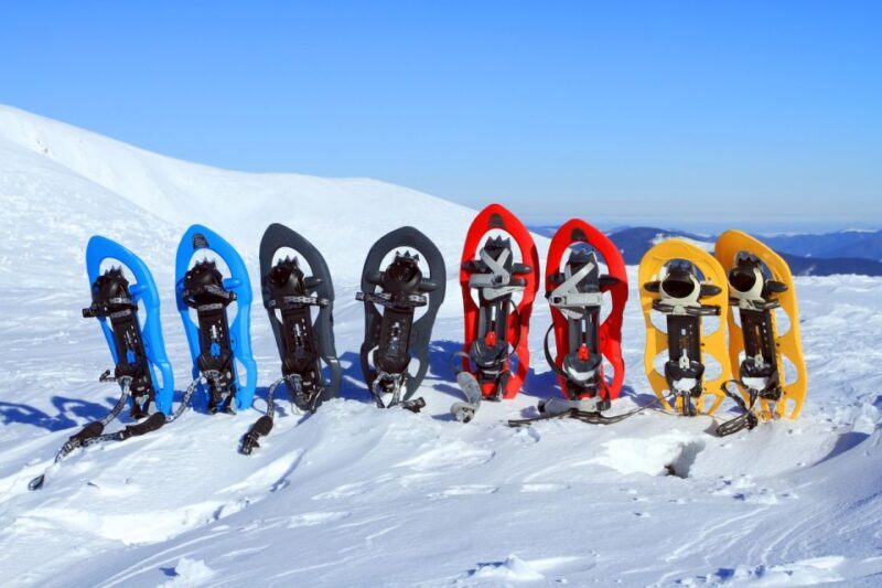 Rovaniemi: Winter Snowshoeing, Reindeer & Husky Sleigh Ride - The Sum Up
