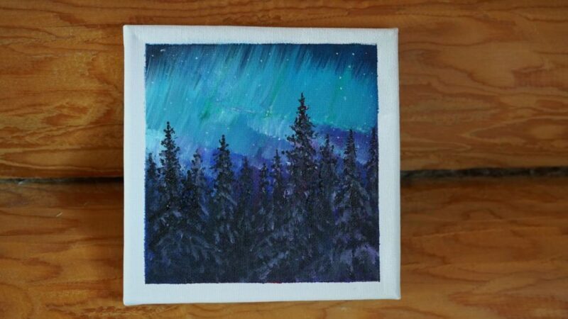 Rovaniemi: Workshop - Aurora painting - What the reviews tell us