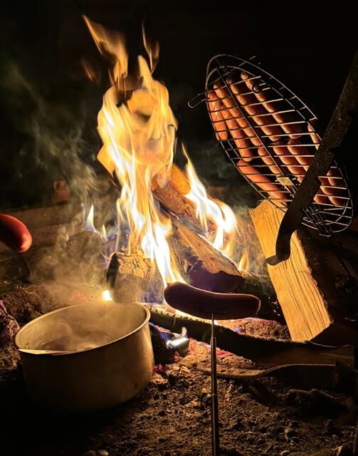 Rovaniemi:Northern Lights Hunt in Lapland Wilderness - Key Points