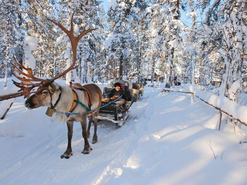 Rovaniemis Magical Christmas Tour: Santas Home - What’s Included and What Does it Mean for You?