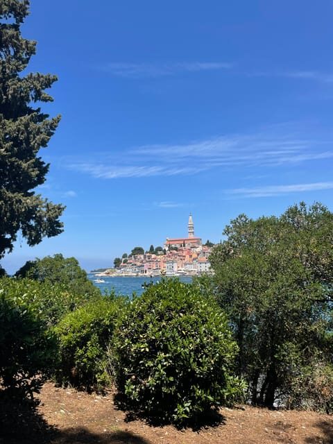Rovinj: BUBA SUNSET KAYAK, snorkeling&driknks incuded - Final Thoughts: Is It Worth It?