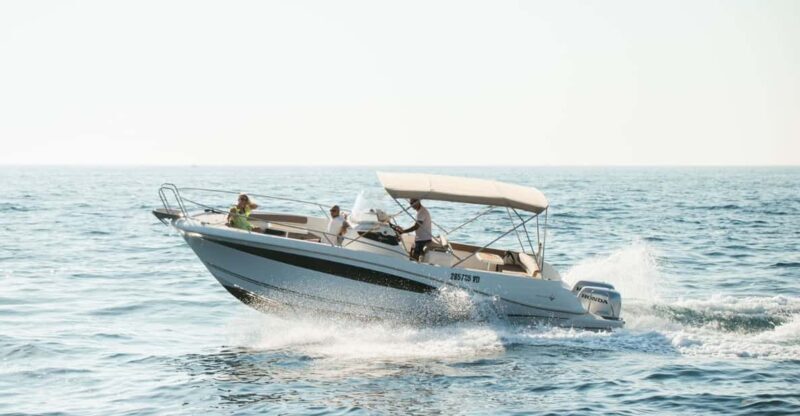 Rovinj: Family Friendly Dolphin Watching Tour - Practical Considerations