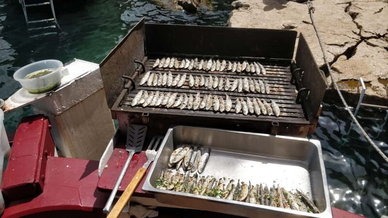 Rovinj: Fish picnic with sunset and dolphin watching - Why This Tour Works and Who Will Love It
