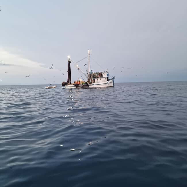 Rovinj fishing tour with boat - Why This Tour Offers Great Value