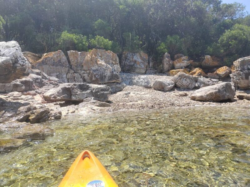 Rovinj: Golden Cape Desert Islands Kayak & Snorkeling Tour - Key Points
