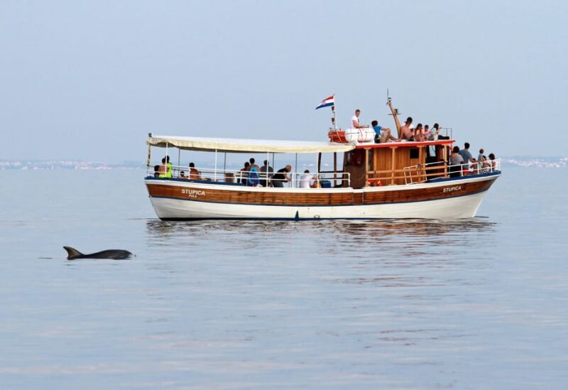 Rovinj half-day cruise: swim stops, drinks & brunch included - The Sum Up: Who Will Love This Experience?