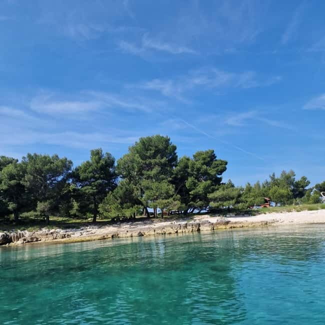 Rovinj Islands: 3-Hour Tour with Swimming and Snorkeling - What’s Included & Practical Details