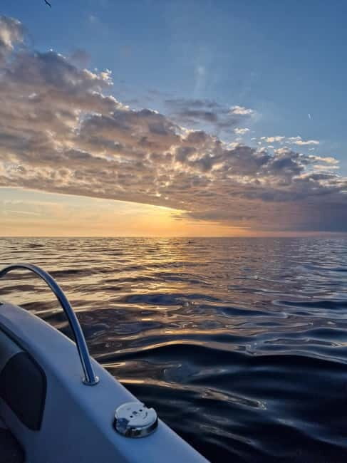 Rovinj Islands: 3-Hour Tour with Swimming and Snorkeling - Who This Tour Is Best For
