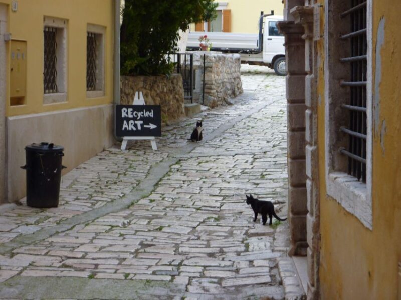 Rovinj: Private Walking Tour - Why Choose the Rovinj Private Walking Tour?