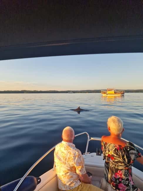 Rovinj: Shared Dolphin and Sunset Tour with Drinks - Key Points